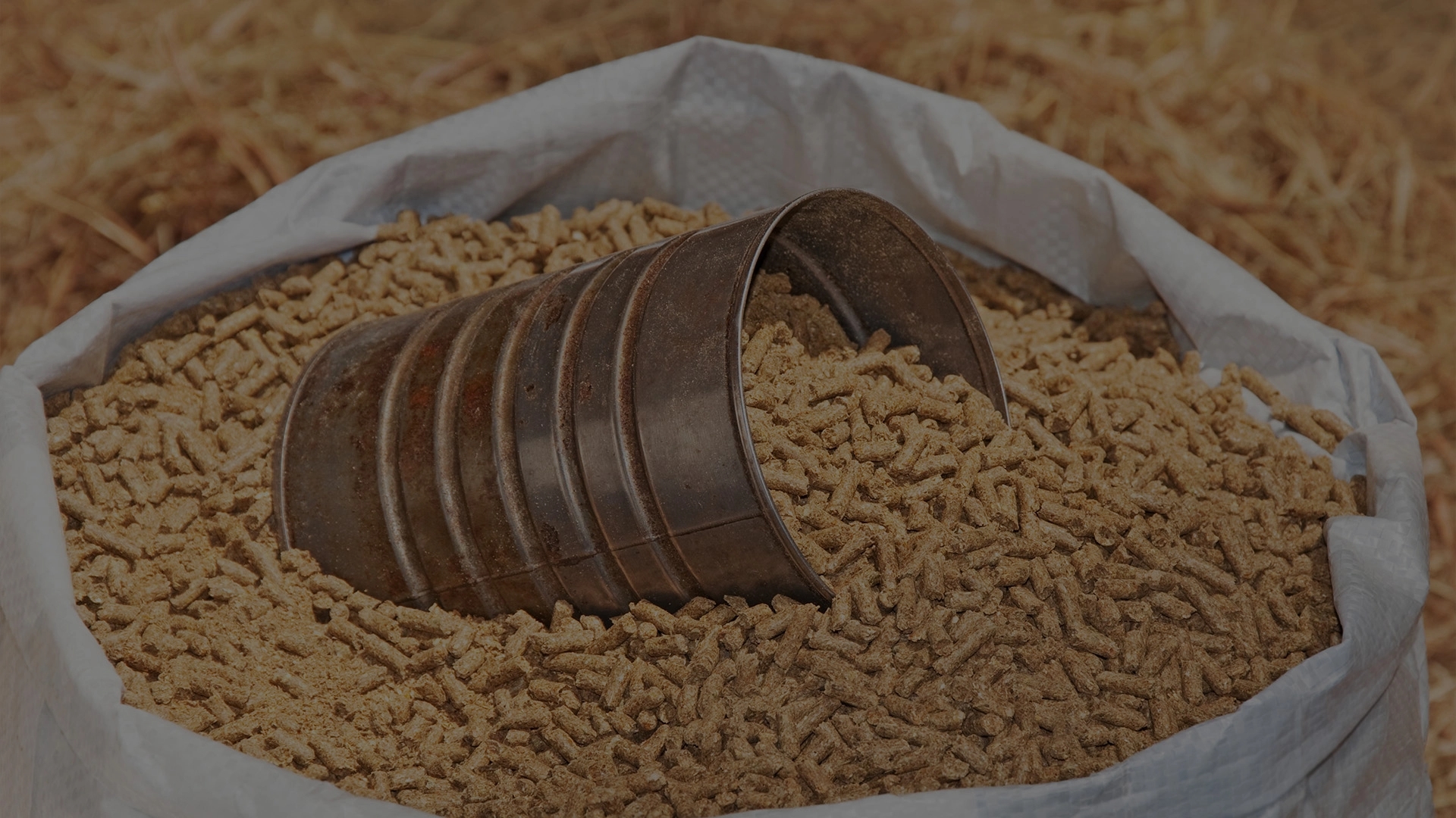 Empower Your Commodity Trading with Sonata's Innovative Solutions